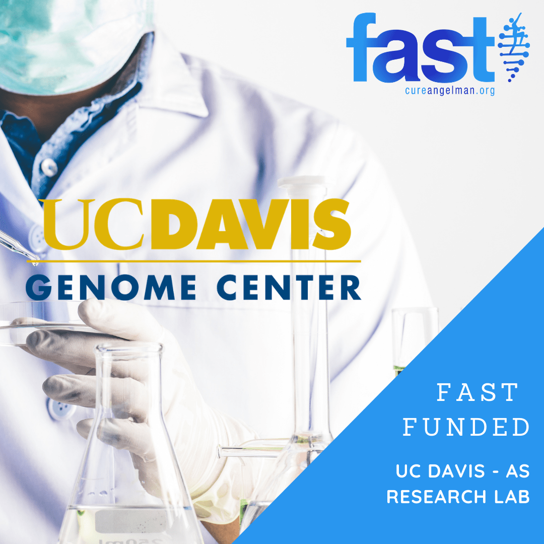 FAST funds pioneering infrastructure grant | FAST (Foundation for ...