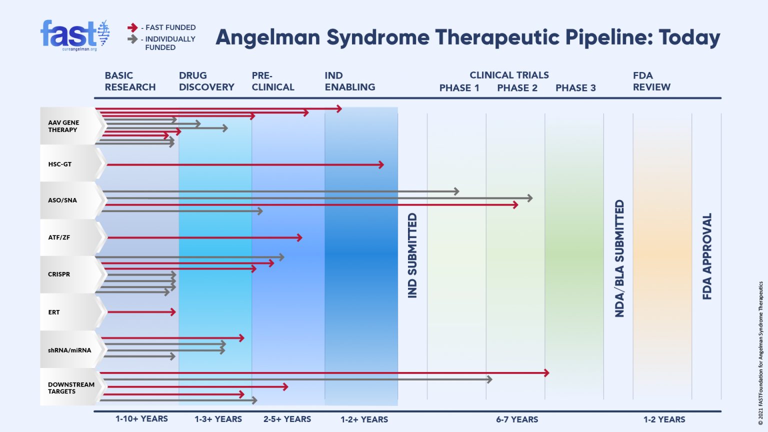 Angelman Syndrome Cure Research | FAST