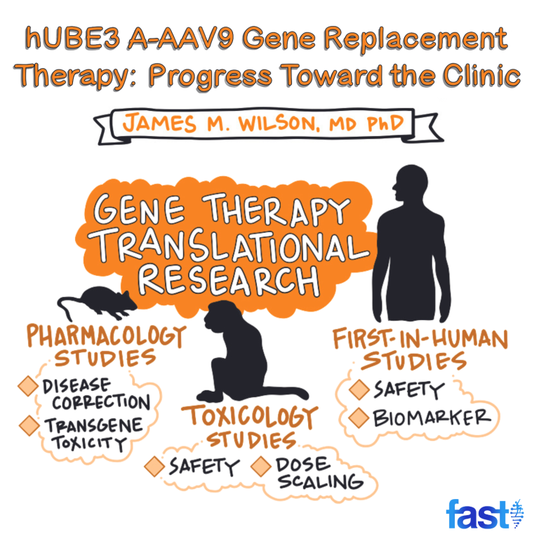Angelman Syndrome Therapeutic Approaches - FAST